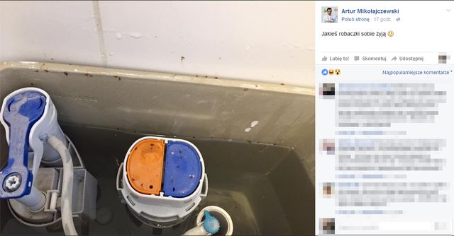 Szok! Polscy olimpijczycy narzekają na fatalne warunki w Rio: Brud, syf ...